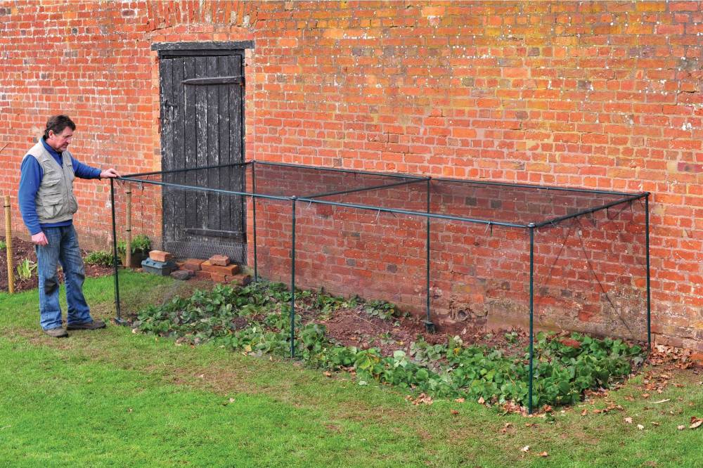 Low Fruit and Vegetable Cage made from Steel | WM James & Co.