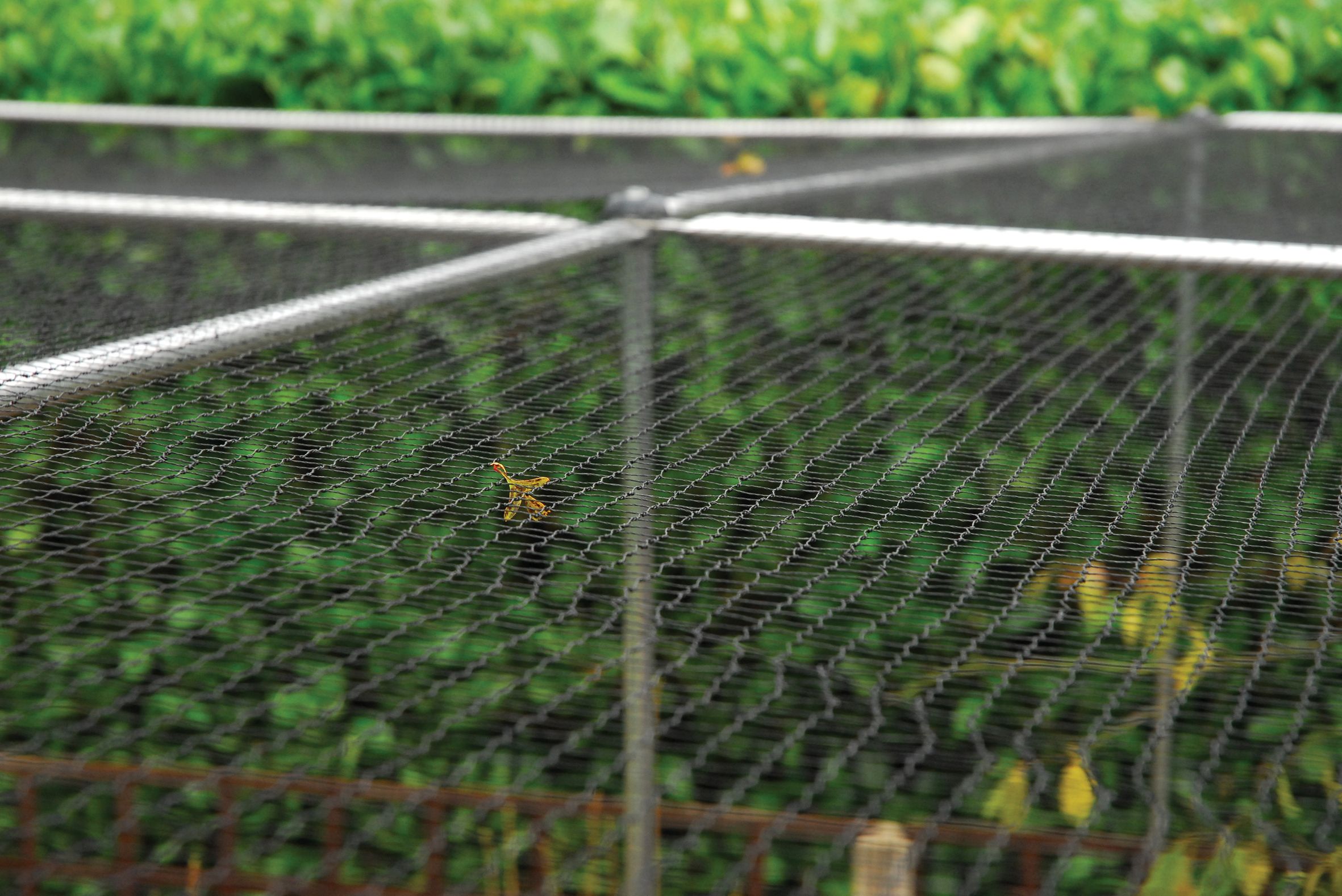 Aluminium Fruit Cage Upright | Fruit Cage Spares | WM James & Co.