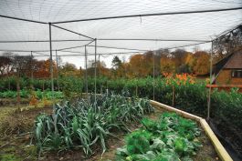 Easy Net Grow Tunnel | Gardening Tunnels | WM James & Co.