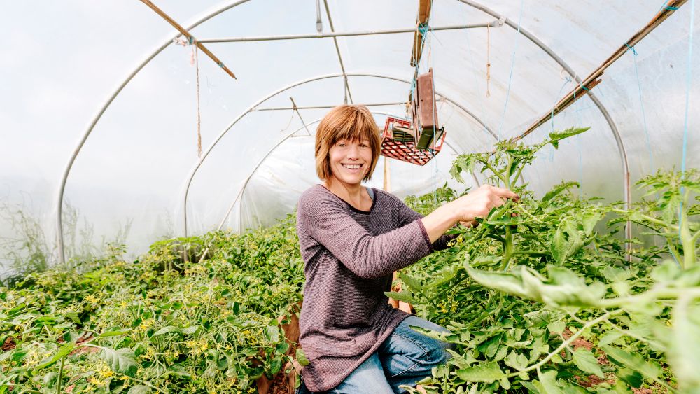 9 Creative Small Polytunnel Ideas for Your Garden | A Veg Gardeners ...