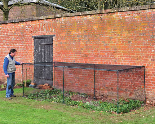 Vegetable Cages | Vegetable Protection | Netting & Frames